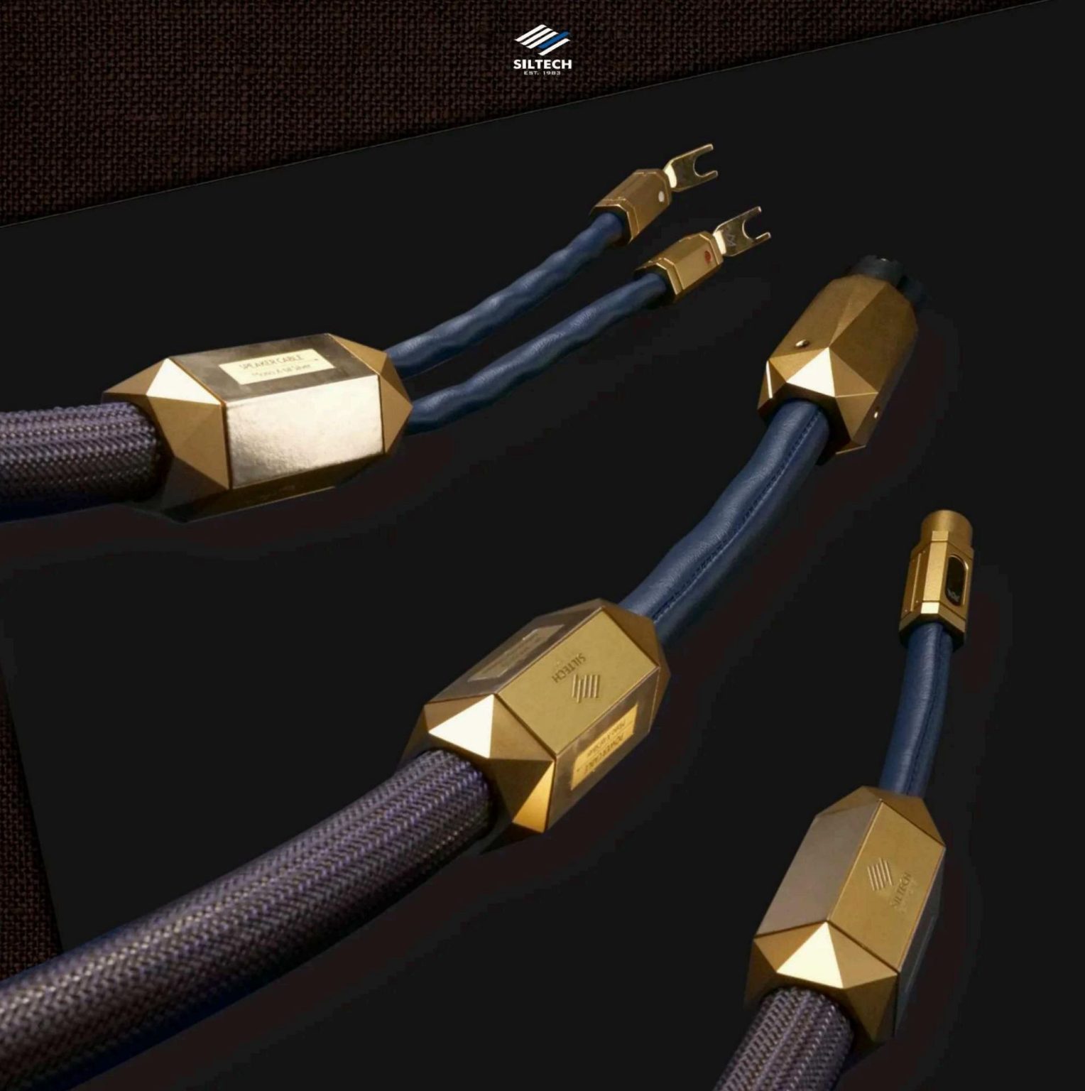 Siltech Master Crown – avcat Audio Visulal Breaking News